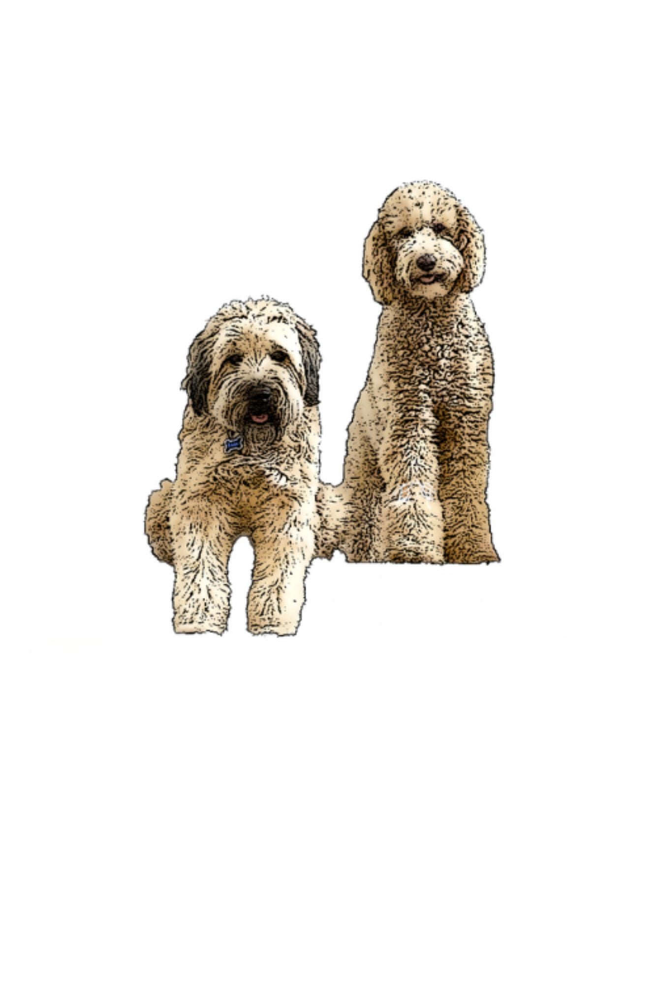 Pearls and Pennies – Pearls and Pennies Boutique